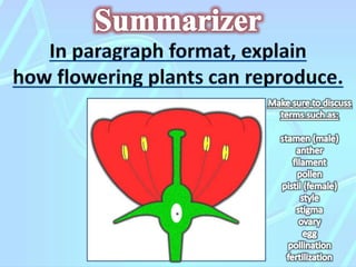 Plant_Structures_and_Flower_Reproduction_PPT.pptx