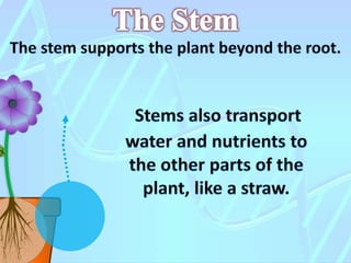 Plant_Structures_and_Flower_Reproduction_PPT.pptx