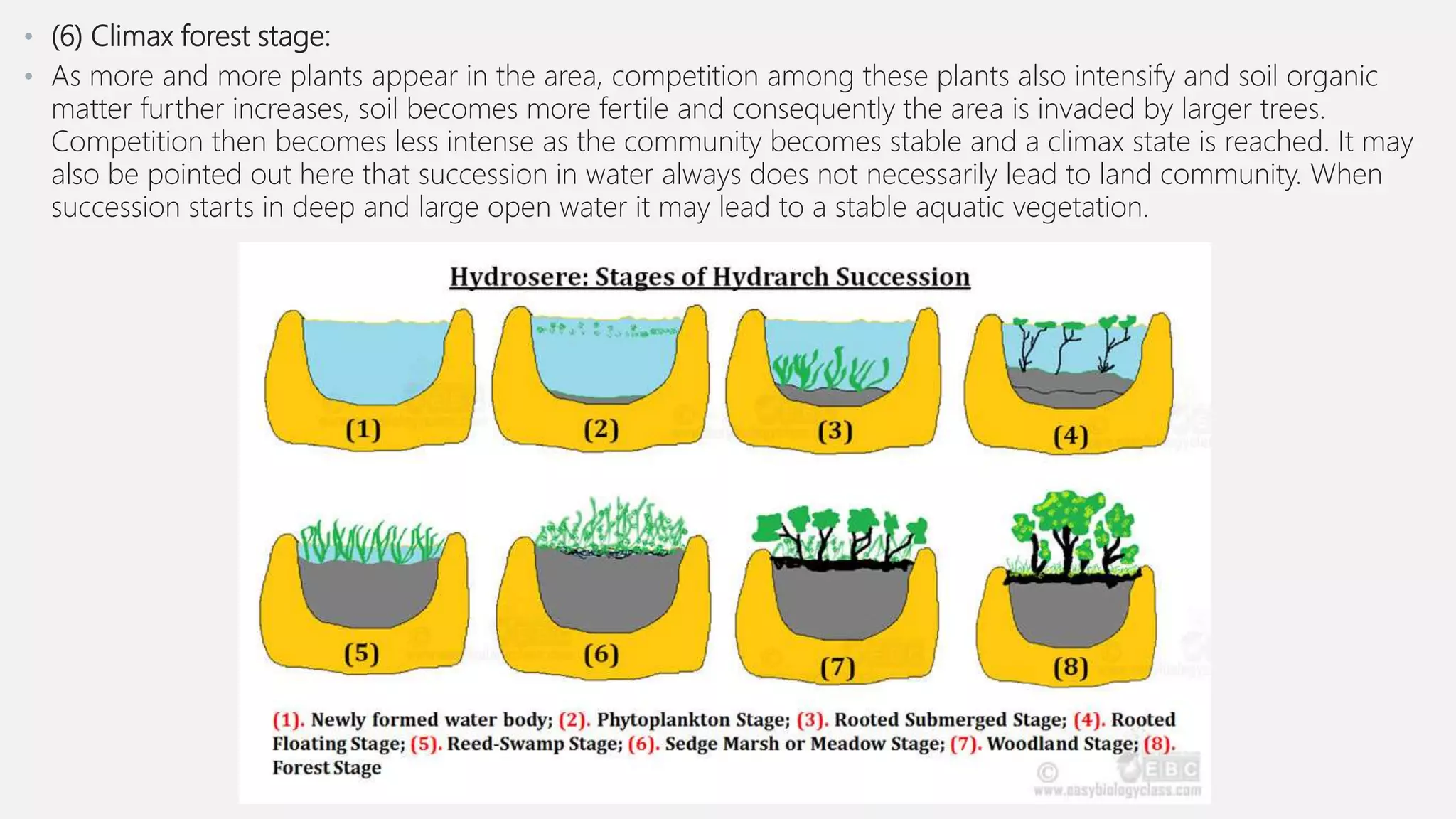 Plant succession | PPTX