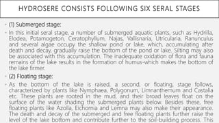 Plant succession | PPTX