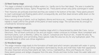 Plant succession | PPTX