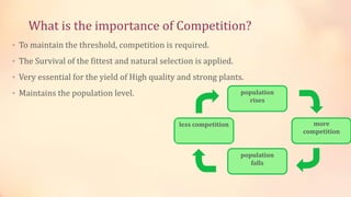 Plant succession & Competition. | PPTX