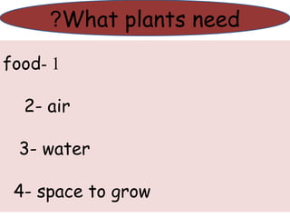 Plants use leaves to make food | PPT