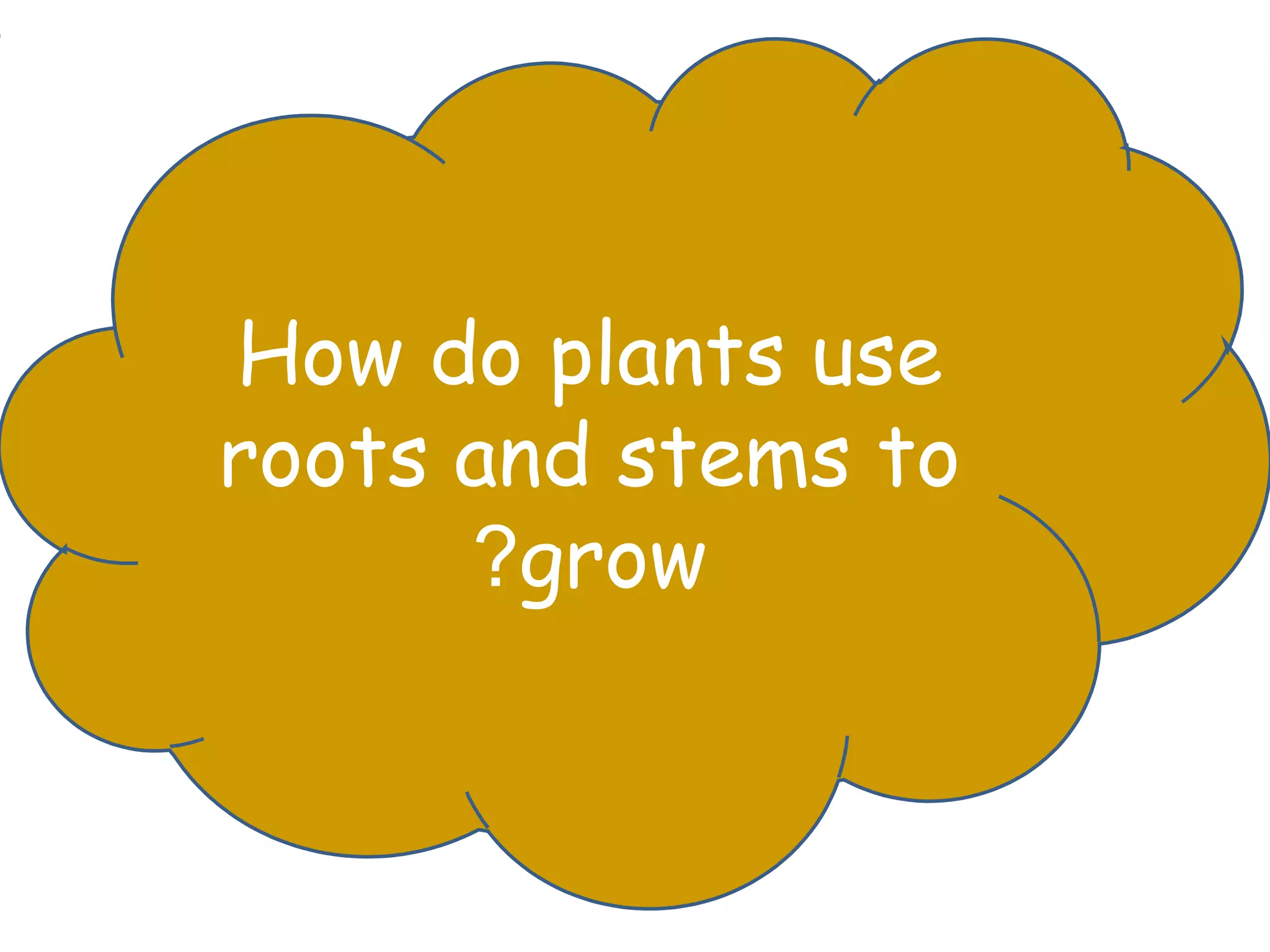 Plants use roots and stems | PPT