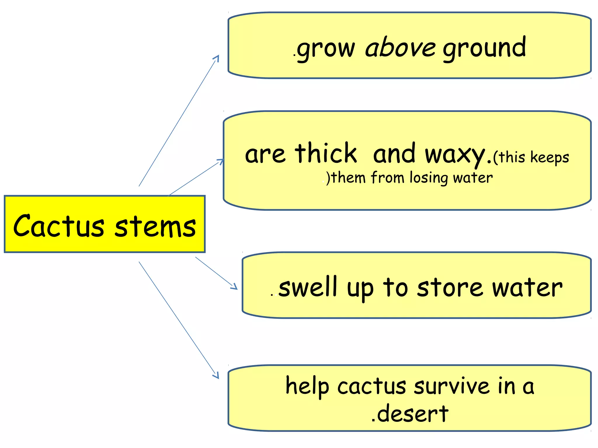 Plants use roots and stems | PPT
