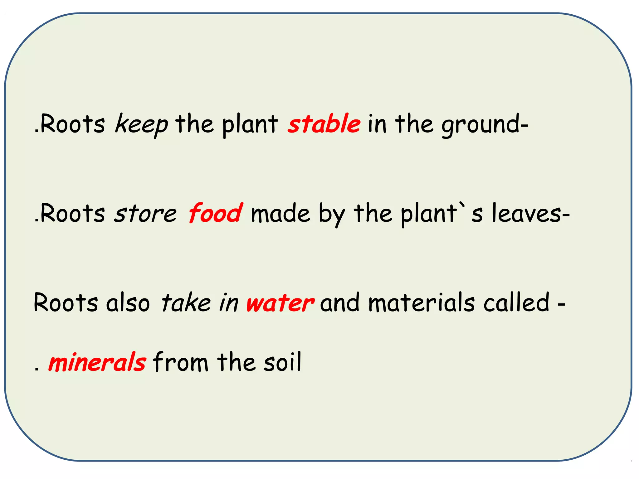 Plants use roots and stems | PPT