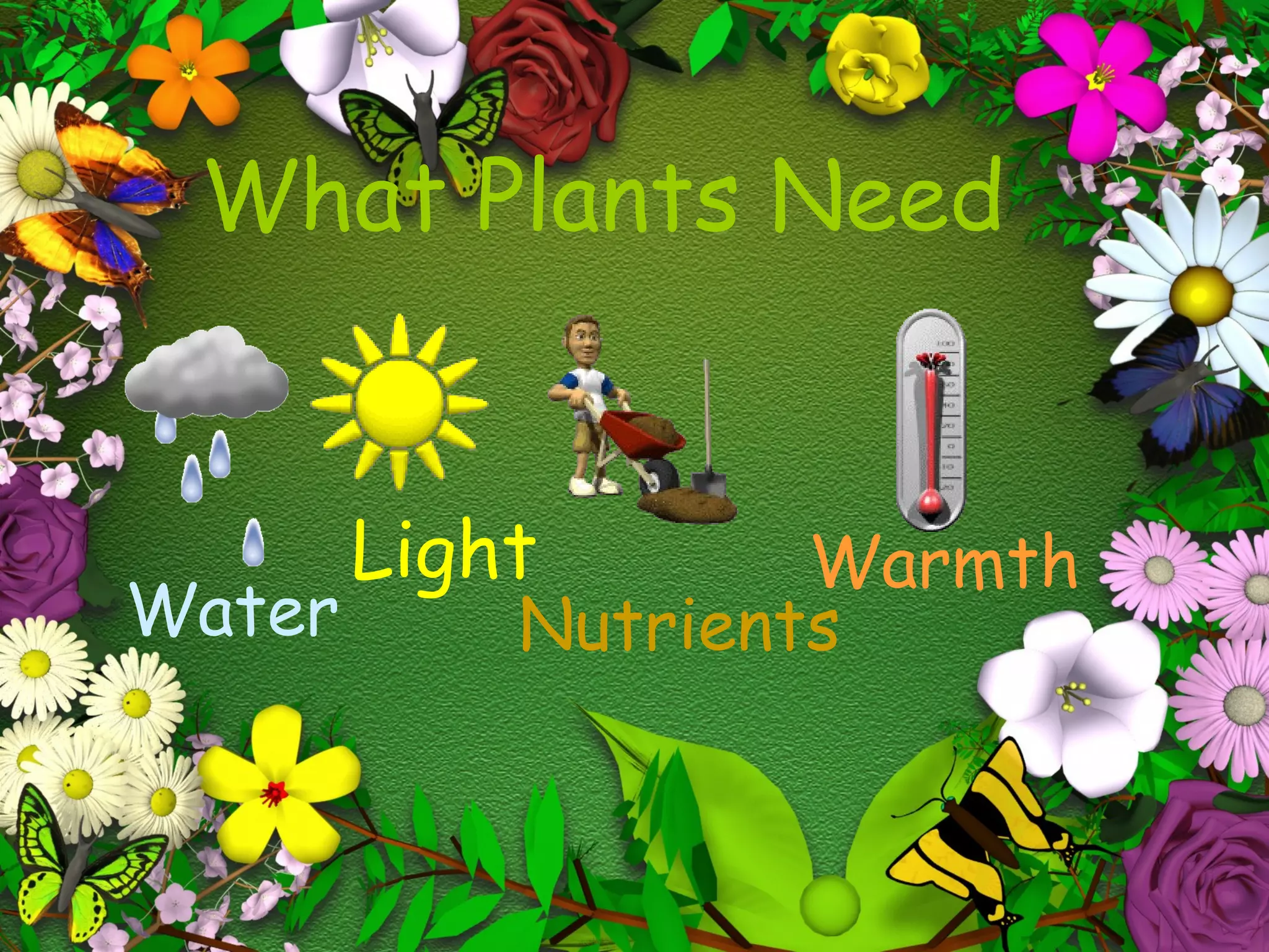 what do plants need to grow | PPT