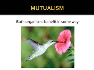 Plant symbiotic relations with soil | PPTX