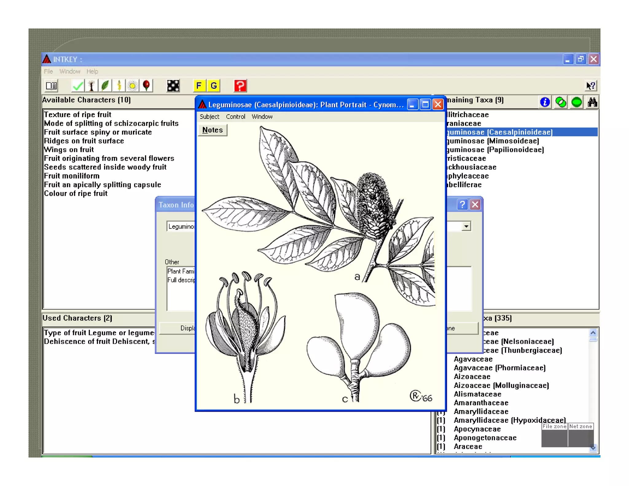 Plant systematics | PDF