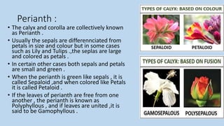 PLANT SYSTEMATICS.pptx