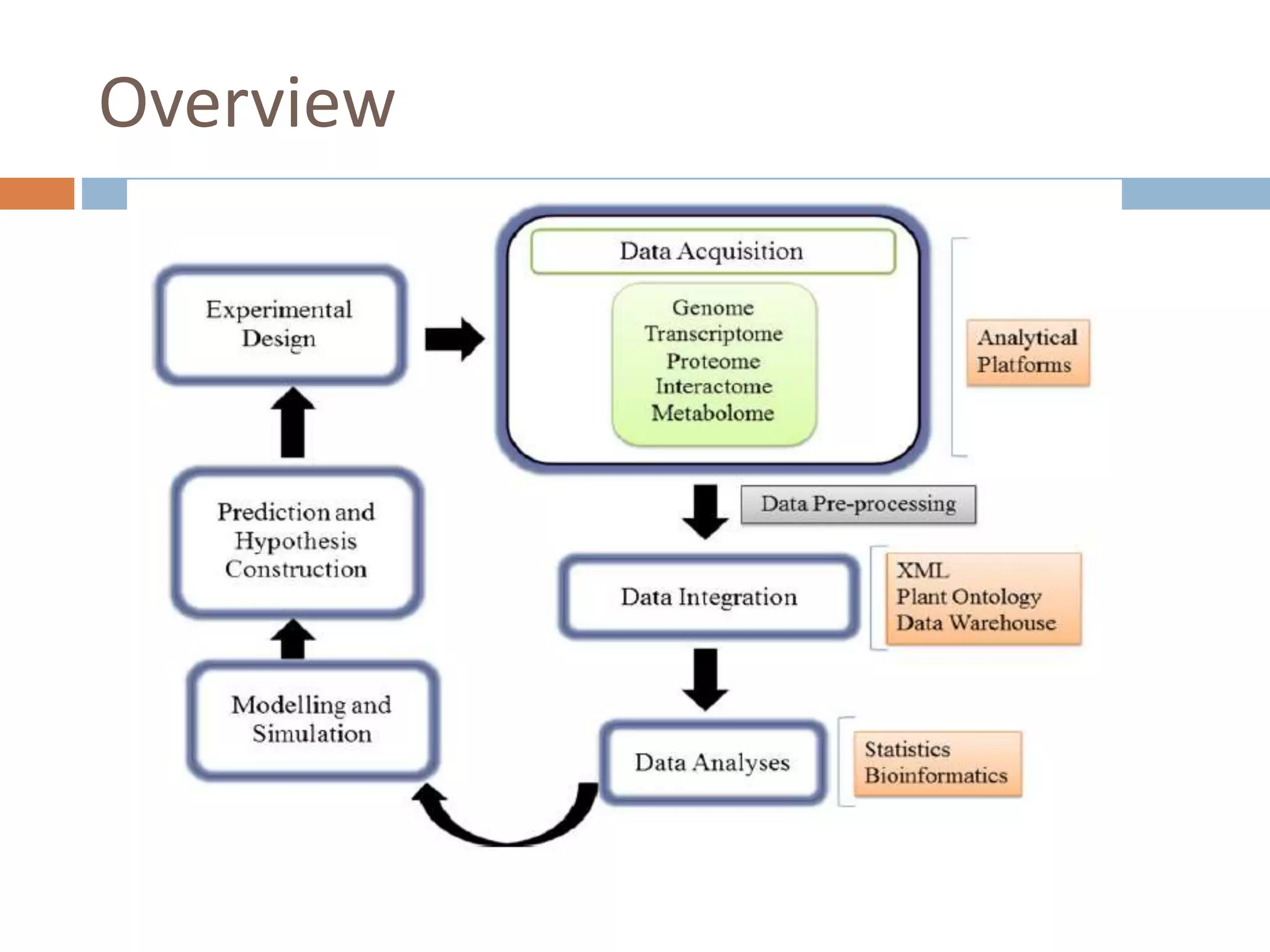 Plant system biology | PPTX