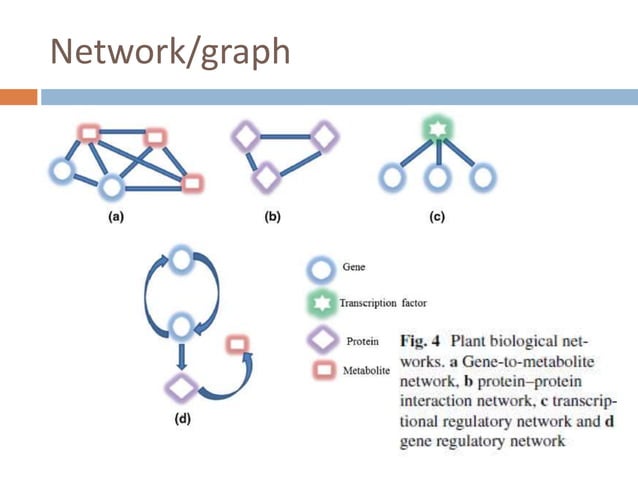 Plant system biology | PPT