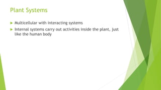 Plant Systems | PPT
