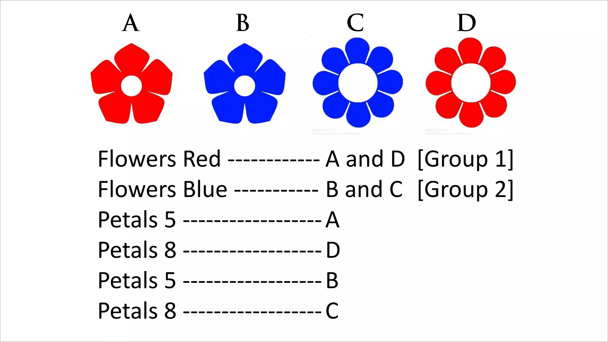 Plant taxonomic keys - Botany | PDF