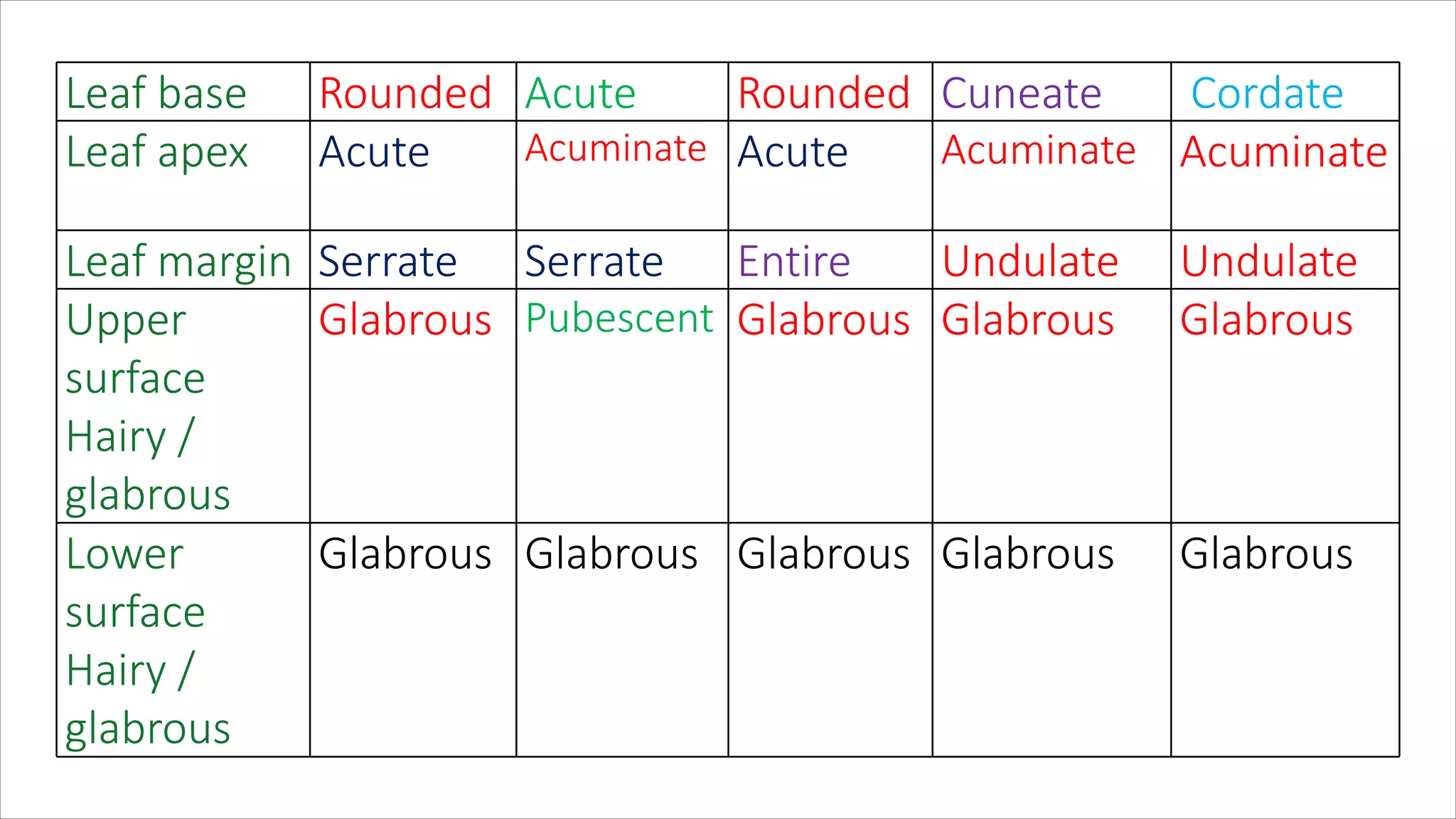 Plant taxonomic keys - Botany | PDF
