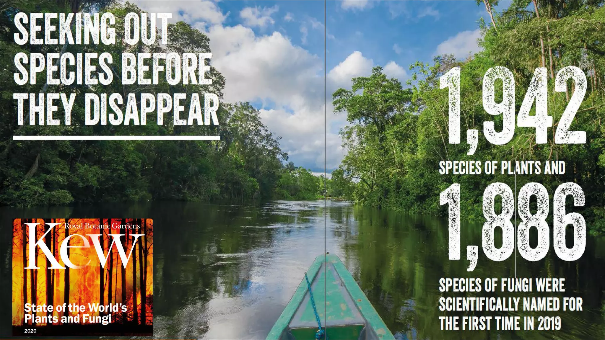 Plant taxonomic keys - Botany | PDF