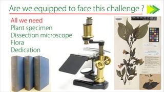 Plant taxonomic keys - Botany | PDF