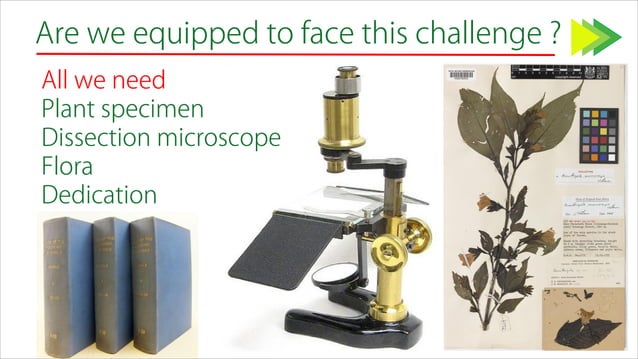 Plant taxonomic keys - Botany | PDF