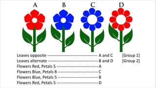 Plant taxonomic keys - Botany | PDF