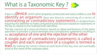 Plant taxonomic keys - Botany | PDF