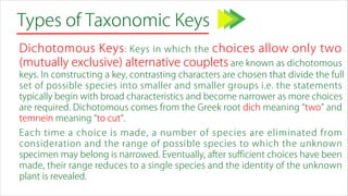 Plant taxonomic keys - Botany | PDF
