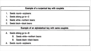 Plant taxonomic keys - Botany | PDF