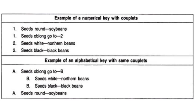Plant taxonomic keys - Botany | PDF