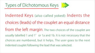 Plant taxonomic keys - Botany | PDF