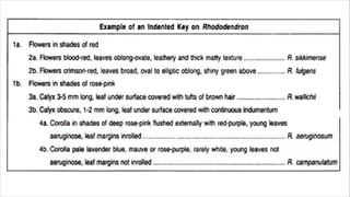 Plant taxonomic keys - Botany | PDF