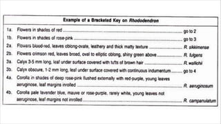 Plant taxonomic keys - Botany | PDF