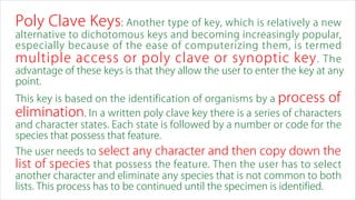 Plant taxonomic keys - Botany | PDF