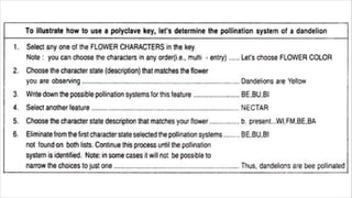 Plant taxonomic keys - Botany | PDF