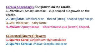 plant taxonomy (Corolla) .pptx