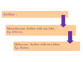 Plant terminology presentation | PDF