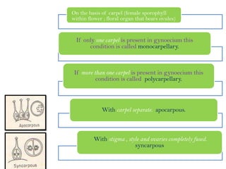 Plant terminology presentation | PDF