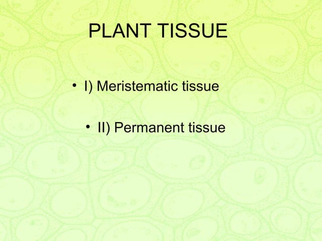 Plant tissue | PPT