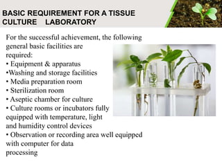 Plant tissue | PPTX