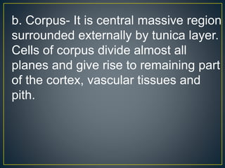 Plant tissue 1 | PPT