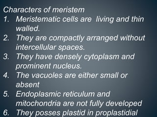 Plant tissue 1 | PPTX