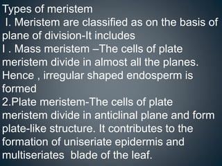 Plant tissue 1 | PPT