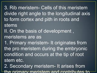 Plant tissue 1 | PPTX