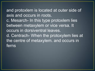 Plant tissue 2 | PPTX