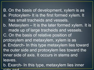 Plant tissue 2 | PPTX