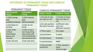 Plant tissue by simranjot singh | PPT