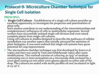 Plant tissue culture | PPTX