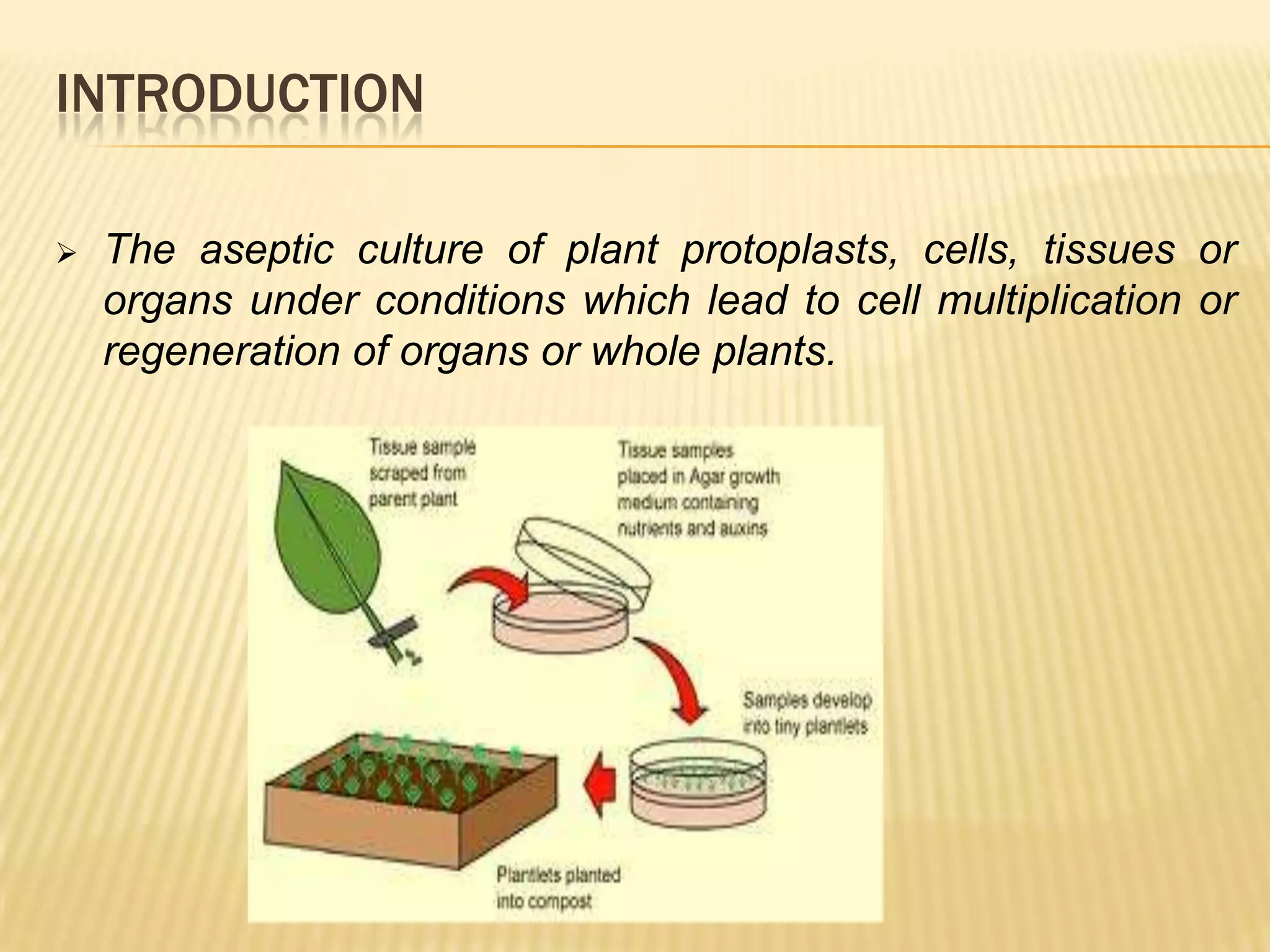 Plant tissue culture.rrrr sssss | PPTX