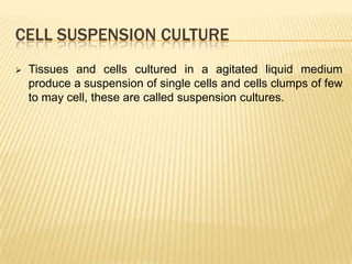 Plant tissue culture.rrrr sssss | PPTX