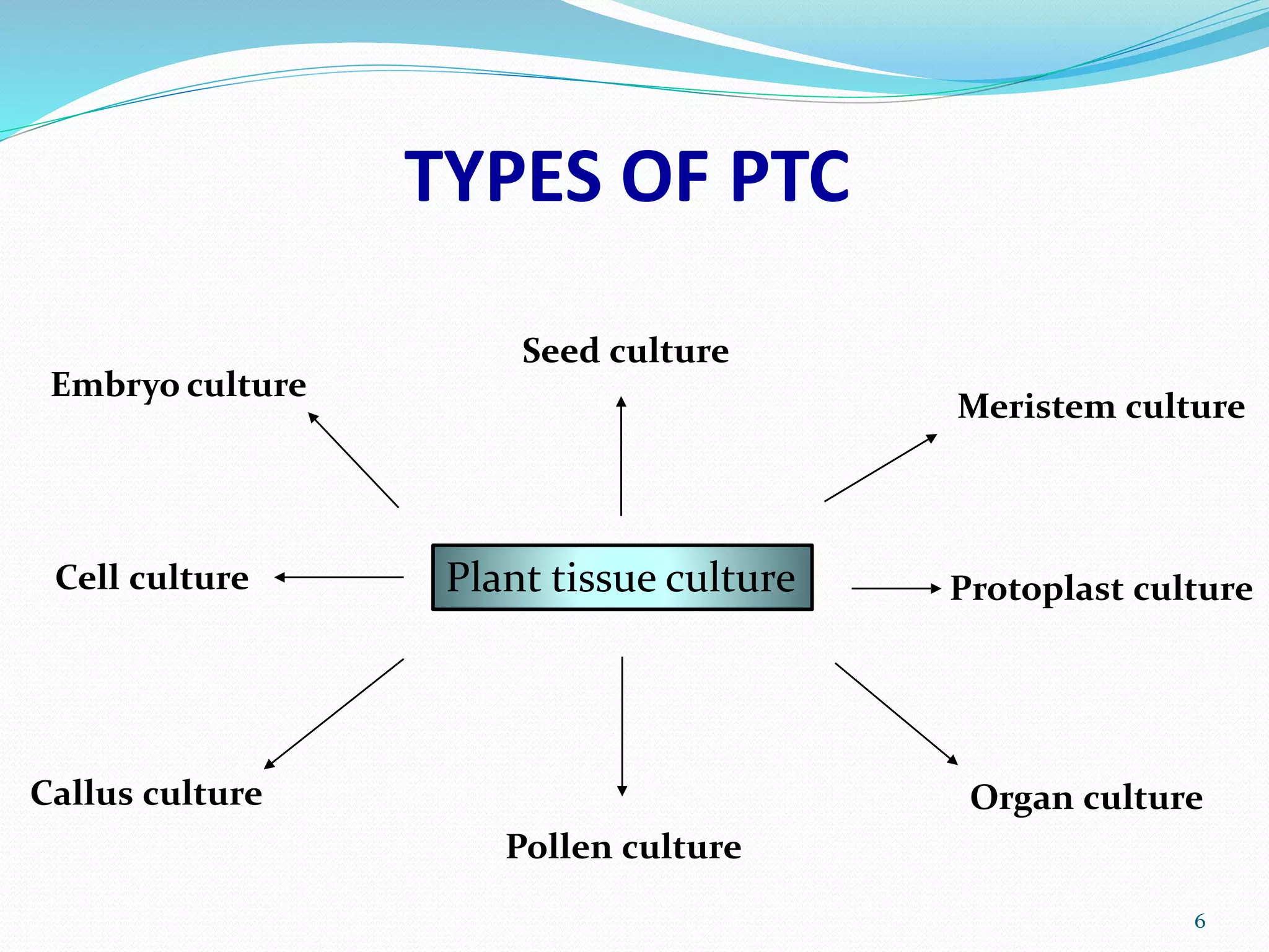 Plant tissue culture | PPTX