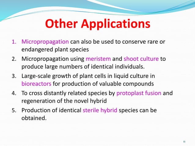Plant tissue culture | PPTX | Gardening | Home & Garden