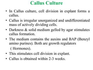 Plant tissue culture | PPTX